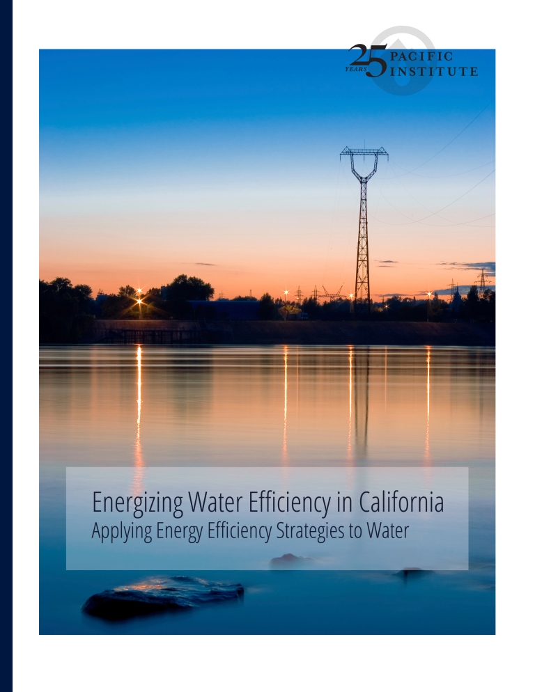 Energizing Water Efficiency: California Energy Sector Experiences Can ...