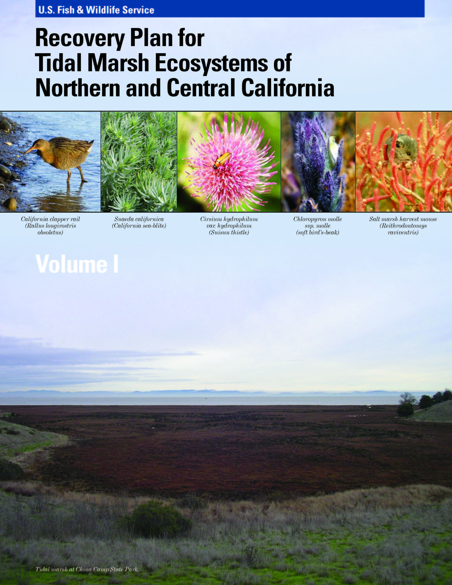 Recovery Plan for Tidal Marsh Ecosystems of Northern and Central ...