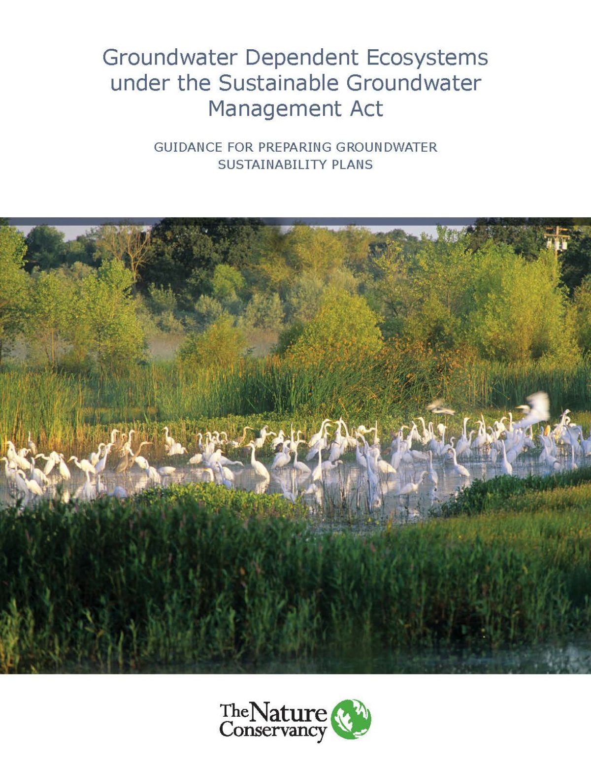 Groundwater Dependent Ecosystems under the Sustainable Groundwater ...