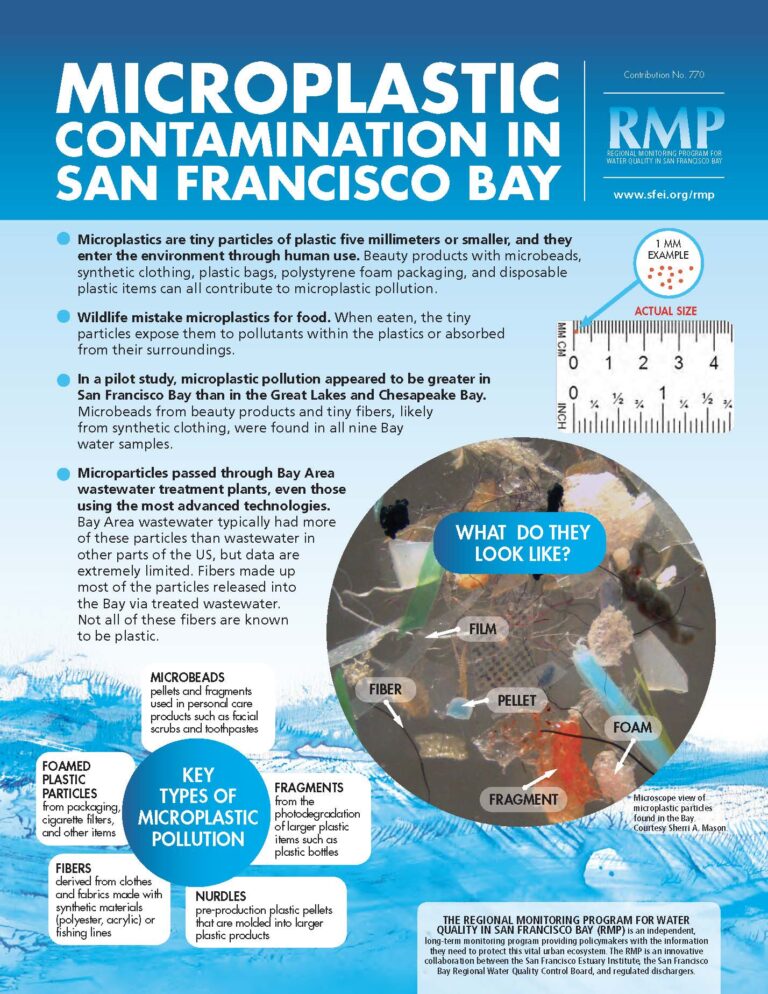 Microplastic Contamination in San Francisco Bay – Fact Sheet ...
