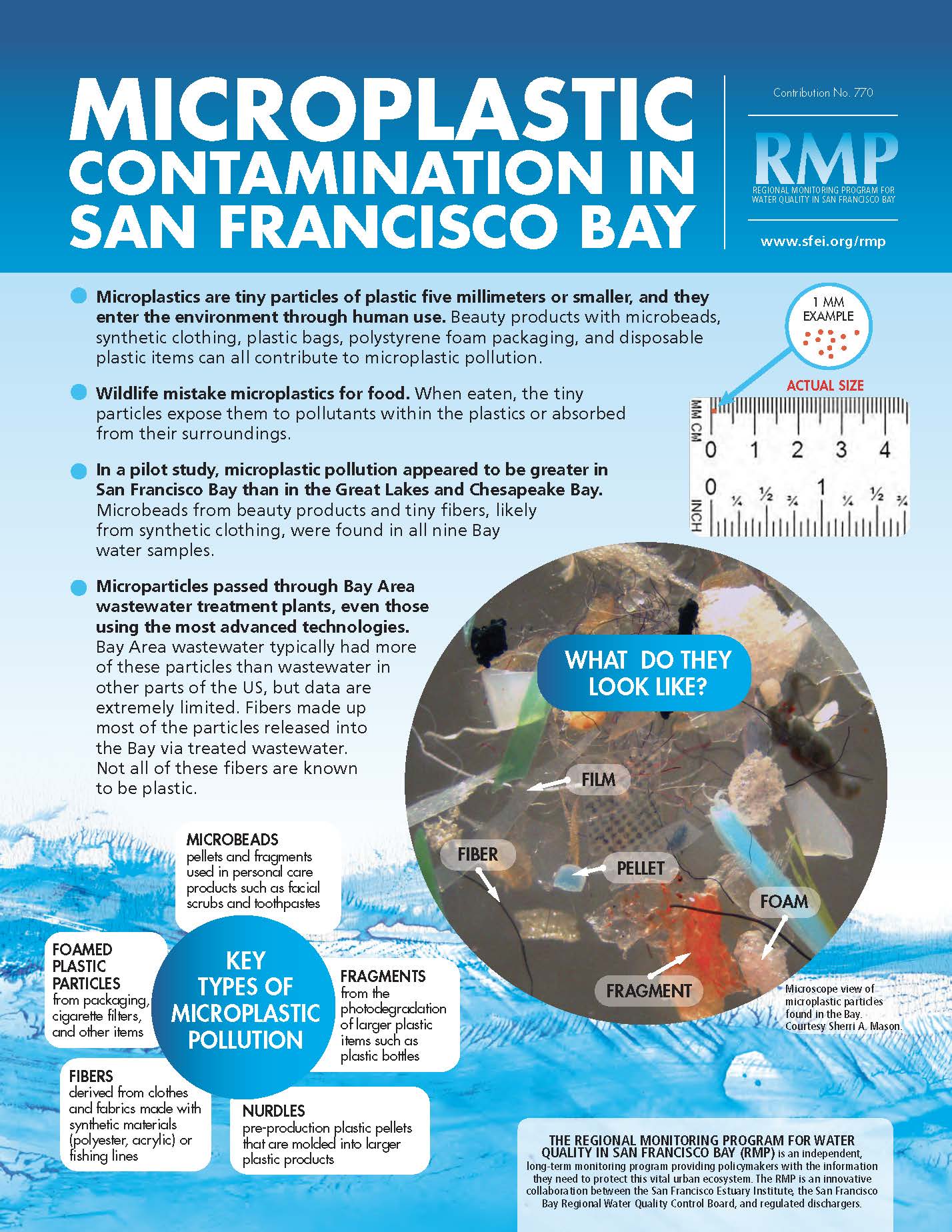 Microplastic Contamination in San Francisco Bay – Fact Sheet ...